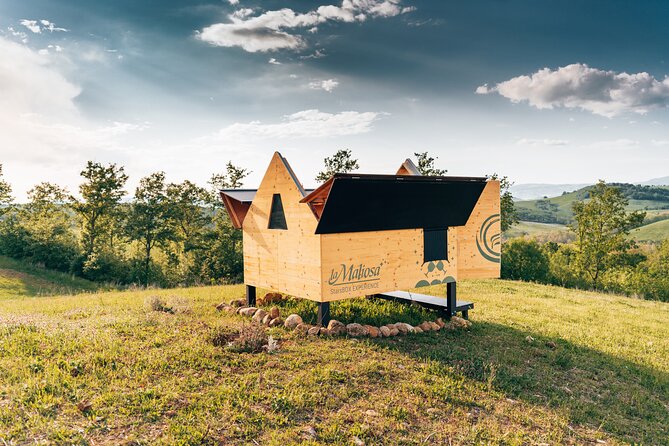 Stellar PicNic: Delight at sunset in the Tuscan countryside - Key Points