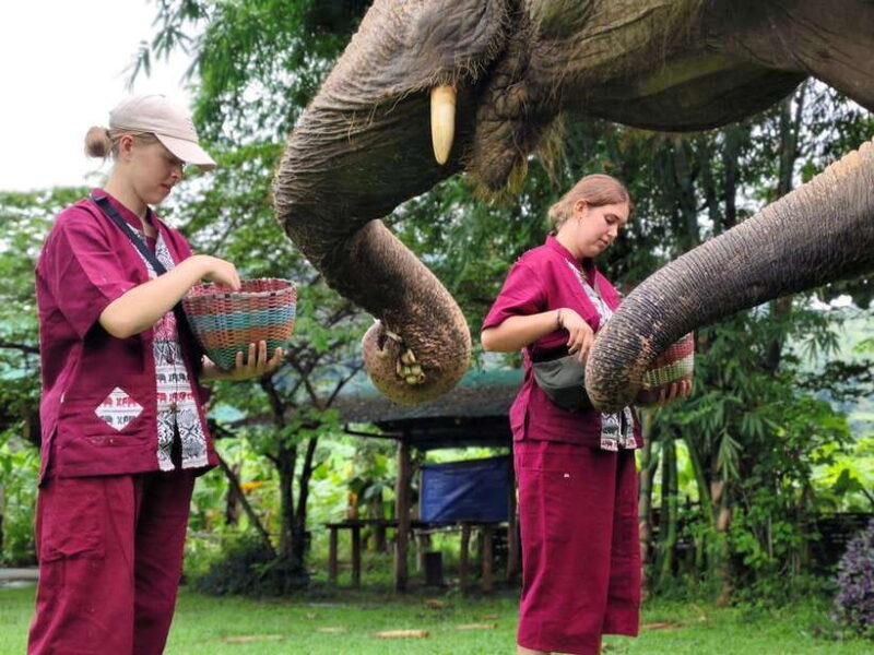 Sticky waterfalls- Elephants- Bamboo or White water rafting. - Key Points