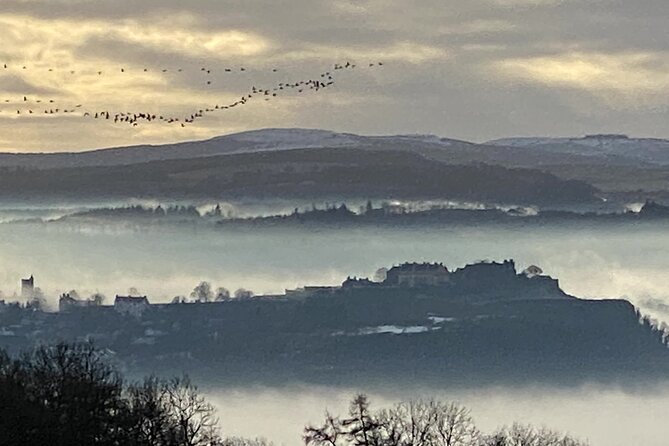 Stirling Castle, Highlands and standing stones experience. - Key Points