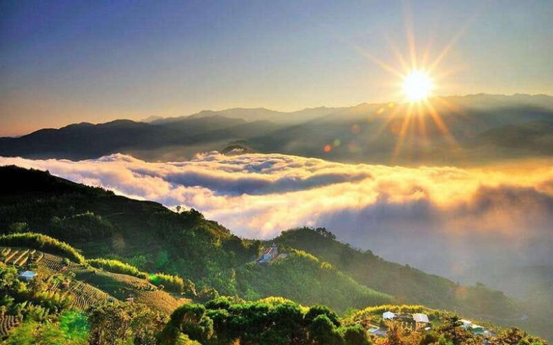 Taiwan: Alishan National Forest Recreation Area E-ticket - Key Points