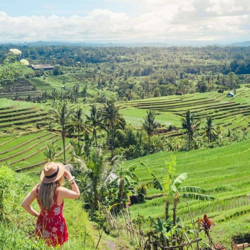 Tanah Lot-Nung Nung Waterfall-Jatiluwih and Bedugul - Key Points