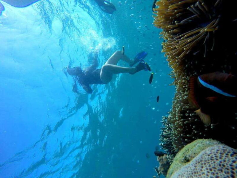 Tangsi Beach, Gili Gambir and Gili Petelu Snorkeling trip - Key Points