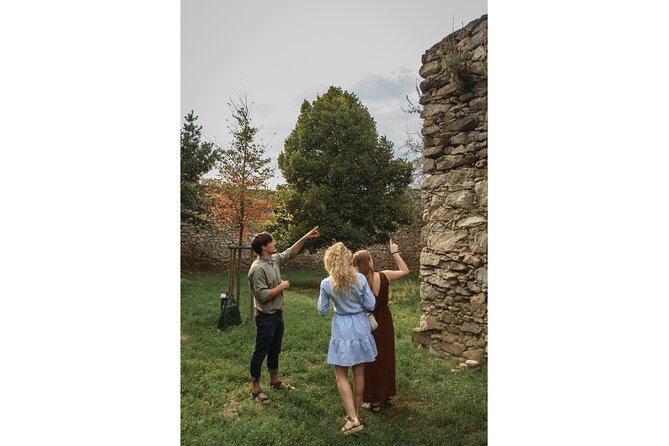 Taste Local Wines and Discover Pezinok - The Sum Up