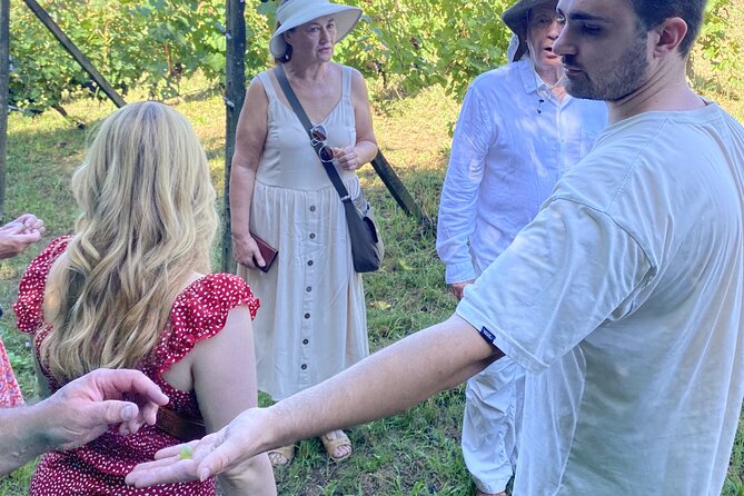 Tasting in a Tuscan Vineyard with transfer from Pisa - Introduction
