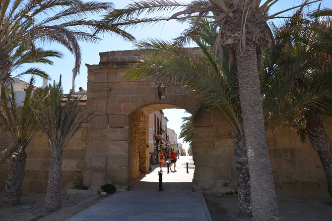 Taxi Boat Santa Pola to Tabarca Island - What to Expect from the Trip