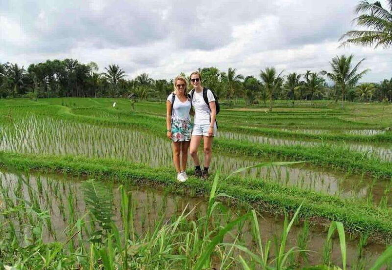 Tetebatu : Walk on Rice Terrace, Waterfall Include Luch - Key Points