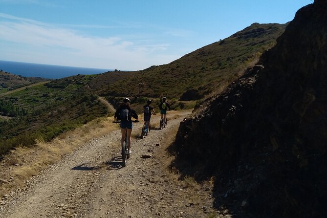 The Collioure Tops on Electric Scooters - Key Points