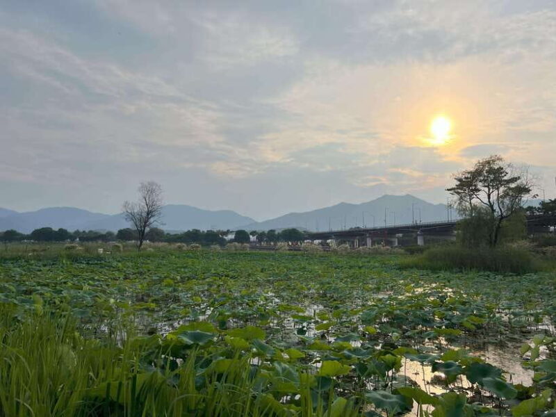 The Life Relaxation Found in Pocheon Tour:2-day,1-night Tour - Starting Point and First Impressions