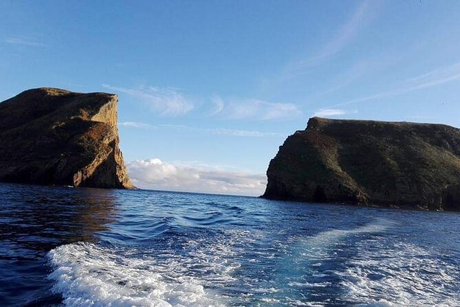 Third Island: Ilhéu das Cabras Boat Tour + Snorkeling - What to Expect from the Ilhéu das Cabras Boat and Snorkeling Tour