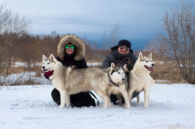 Tour to Husky Park with Cani-Cross Hike - What Are the Key Highlights?