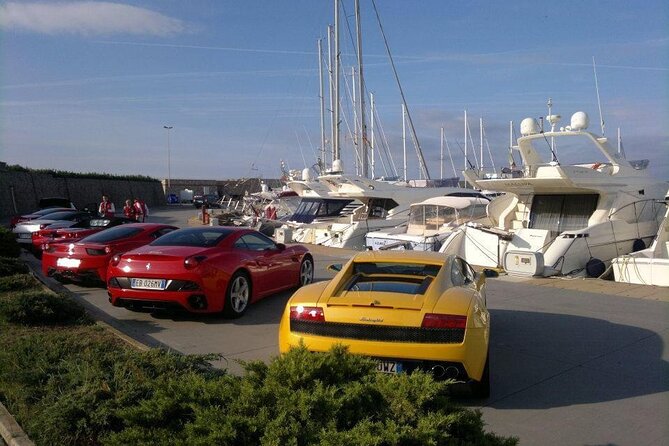 Transfer Civitavecchia Cruise Port>Rome/FCO/or Private Revers - Key Points