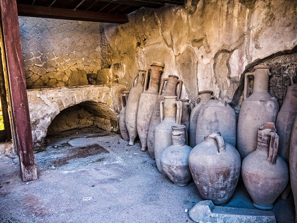 Transfer from Naples to Positano with 2 hours Private Tour in Herculaneum - The Experience in Detail