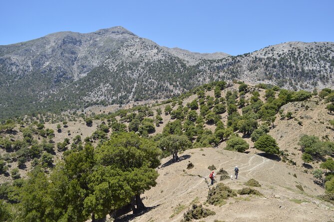 Trekking Rouvas Gorge - Exploring the Beauty of Rouvas Gorge: A Balanced Look at a Guided Hike from Heraklion