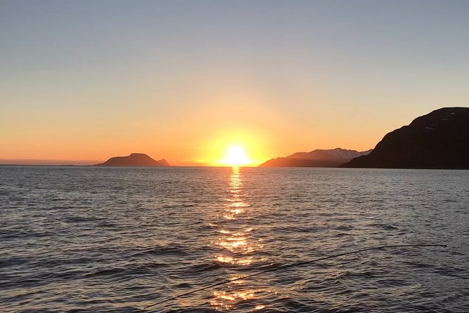 Tromsø: Midnight Sightseeing Cruise All-Inclusive - Key Points