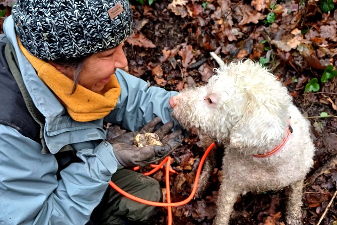Truffle Hunting and Lunch in Piedmont Trattoria - Key Points