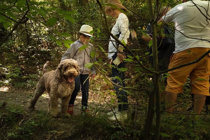 Truffle Picking Experience with 3 Course Meal in Chianti hills - An Honest Look at the Itinerary