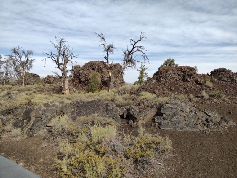 Twin Falls: Craters of the Moon Full-Day Tour with Lunch - Key Points
