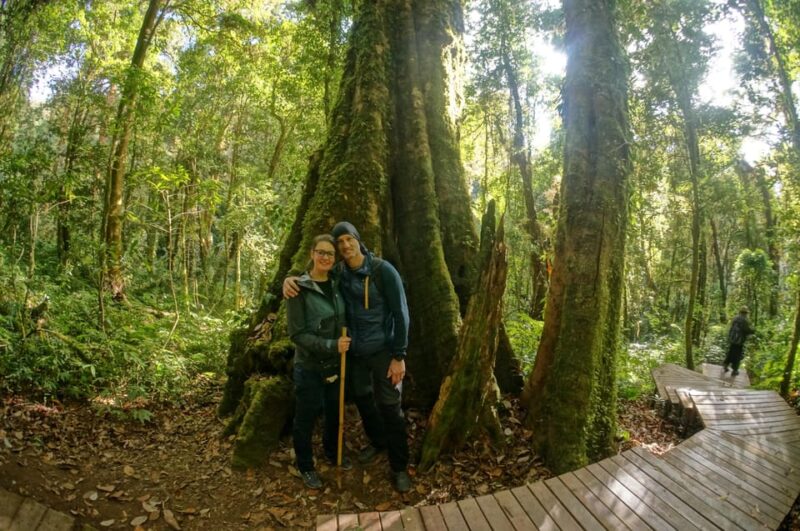 Two days Doi Inthanon national park - Key Points