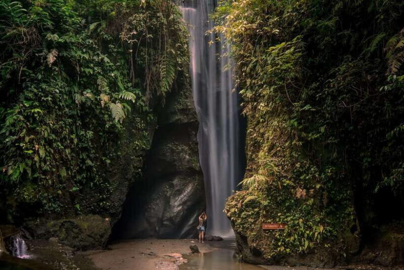 UBUD: atr village, waterfaall, tirta empul, and swing - Key Points
