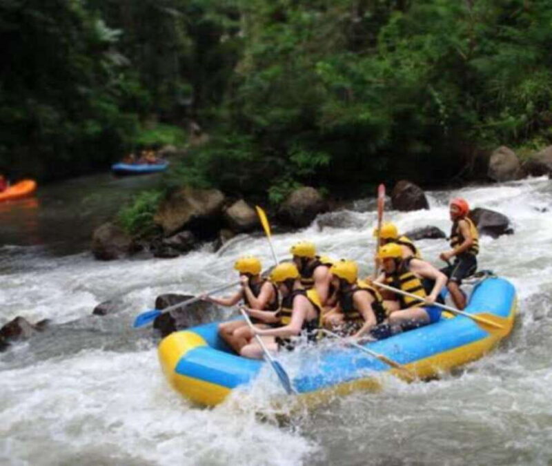 Ubud: Ayung River Rafting Adventure Lunch - Key Points