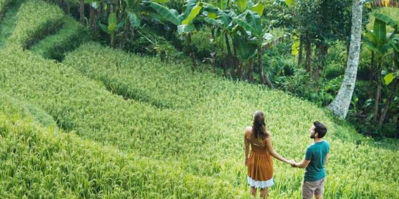 Ubud Eco-Adventure: Farm, Rice Terraces, River & Dance Show! - Key Points