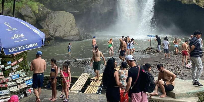 Ubud :Monkey forest, Water Temple and waterfall Private Tour - Key Points
