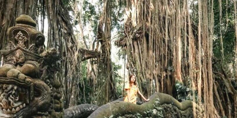 Ubud: Monkey Forest, Waterfall, and Rice Terrace Tour - Key Points