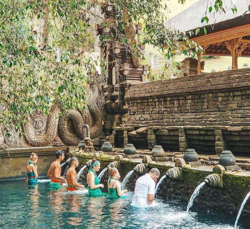 Ubud: Waterfall, Holy Water Temple,Swing&coffee plantation - Introduction