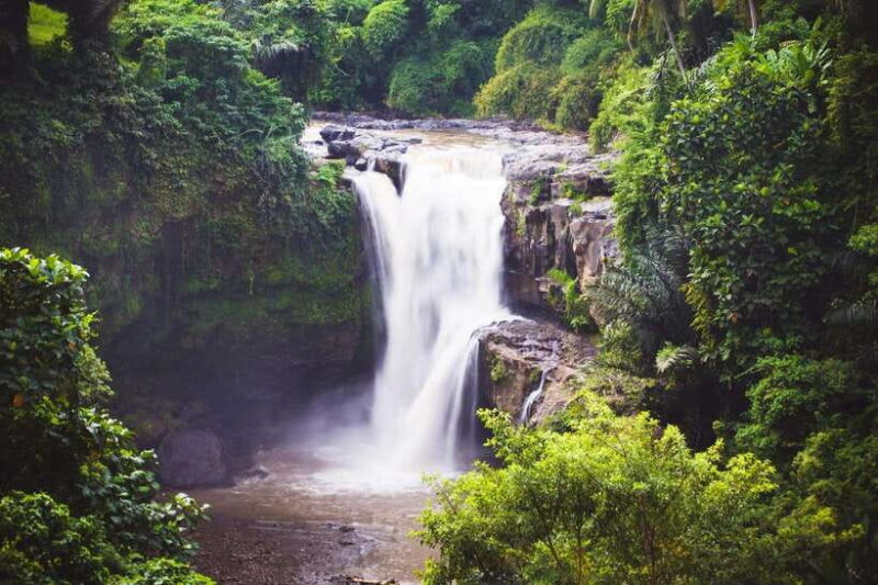 Ubud: Waterfall, Rice Terrace & Temple Private Day Tour - Key Points