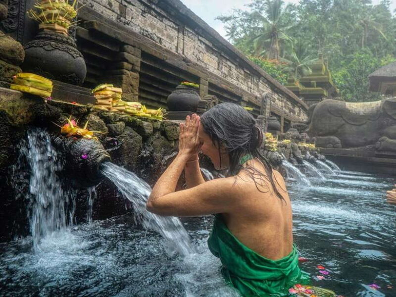 Ubud: Waterfalls, Temple, and Rice Terrace Private Day Tour - Key Points