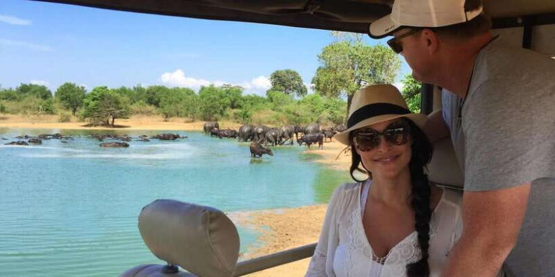 Udawalawa National Park: All-Inclusive Private Day Tour - Key Points