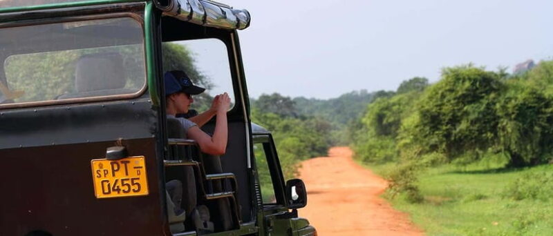 Udawalawa: Udawalawa National Park Safari Tour - Key Points