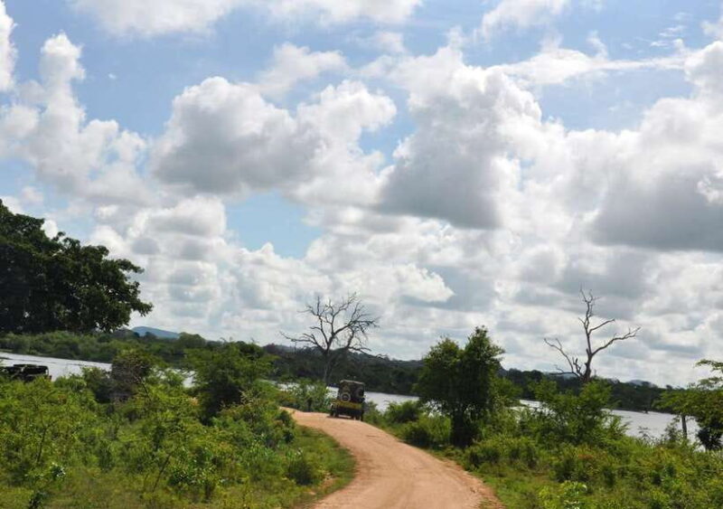Udawalawe National Park Private Safari + Transit Home Visit - Key Points