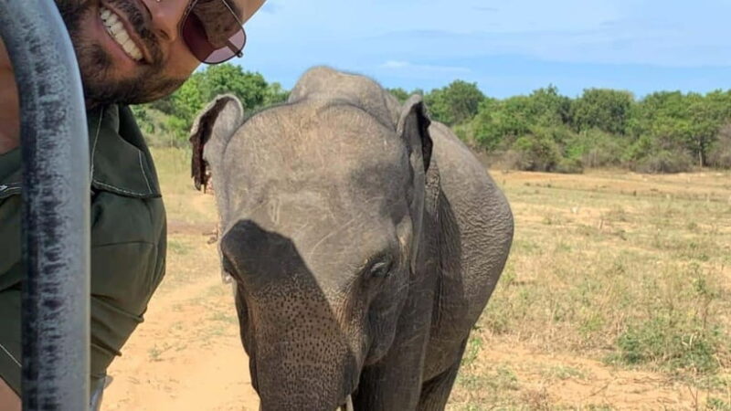 Udawalawe National Park Wildlife Safari from Hambantota Port - Key Points