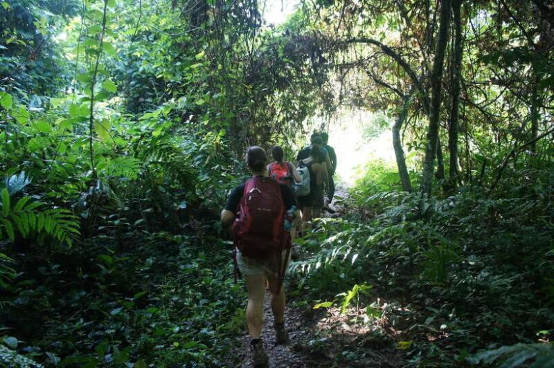 Vang Vieng: Jungle & Caves Full-Day Private Trekking Tour - Key Points
