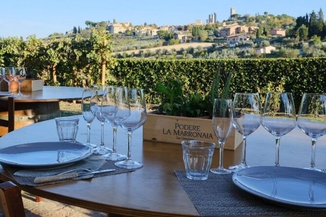 Vegan Tuscan cooking class - An Authentic Vegan Tuscan Cooking Class: A Practical Review