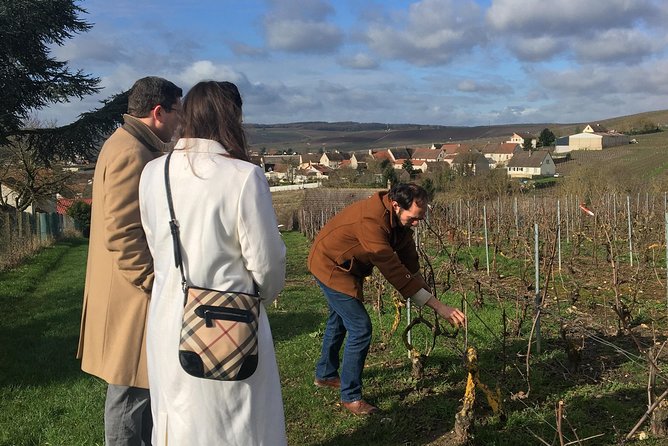 Vineyard Walking Tour & 5 Champagnes Tasting - Exploring the Vineyard Walking Tour & 5 Champagnes Tasting: A Practical Guide