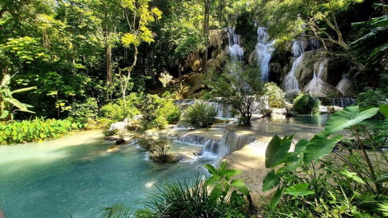 Visit buffalo farm, cooking-class forest, Kuang Si waterfall - Key Points
