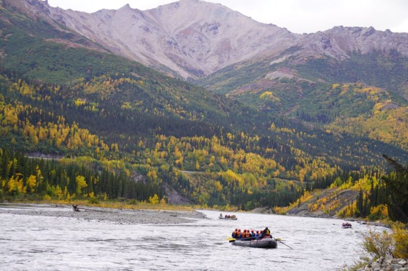 Wilderness: Denali National Park Class I-II Rafting Tour - Wilderness: Denali National Park Class I-II Rafting Tour