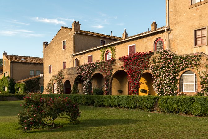 Wine Tour Bolgheri Half day Shore Excursion from Piombino Port - A Closer Look at the Tour Itinerary