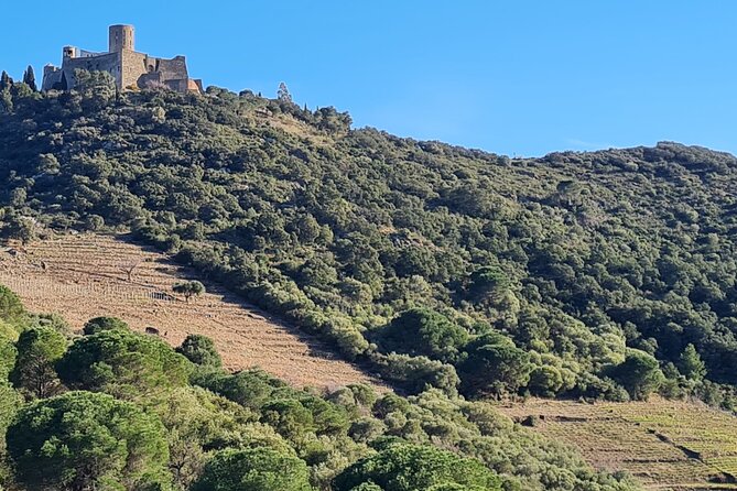 Wine Tour in Roussillon: Picnic & Tasting Day - The Itinerary Breakdown