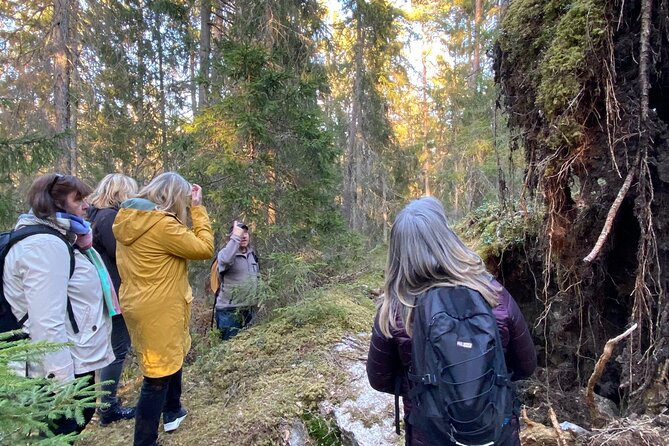 Wolf and Wildlife Tracking in Sweden - Exploring Wolf and Wildlife Tracking in Sweden: A Genuine Adventure for Nature Enthusiasts