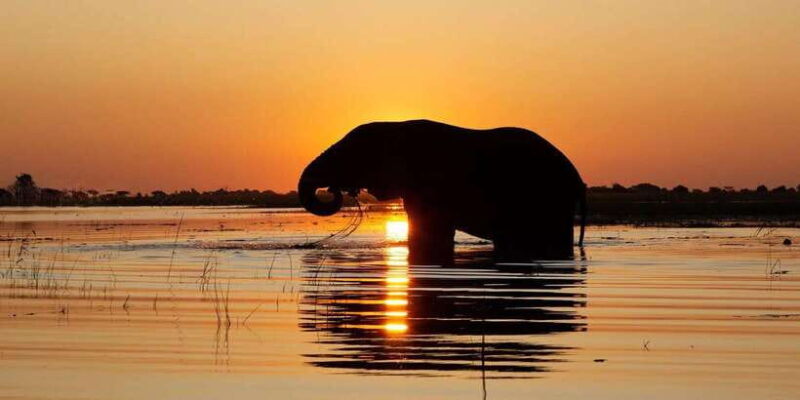 Yala National Park: Private Full Day Safari (04:00-18:00) - Key Points