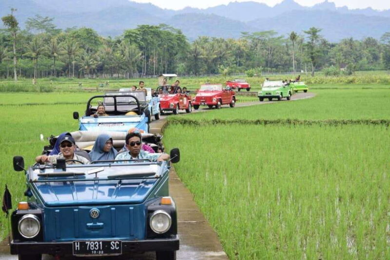 Yogyakarta: Borobudur Climb and VW Safari Tour - Key Points
