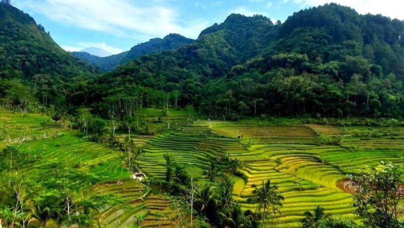 Yogyakarta: Selogriyo Temple and Rice Terrace Soft Trekking - Exploring the Countryside and Hidden Temples