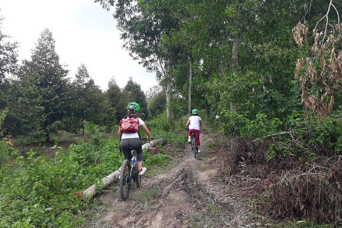 04 -Days: Experience Mekong Delta By Bike & Boat. - What Makes This Tour Special