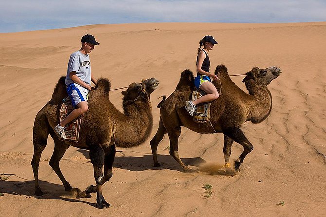 1 Day Semi-Gobi All-included tour - Key Points