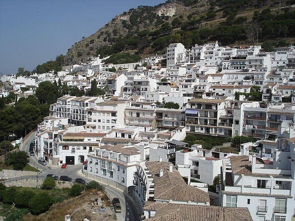 1 Hour Buggy Tour Off-Road Adventure in Mijas - What is the 1-Hour Buggy Off-Road Adventure in Mijas?
