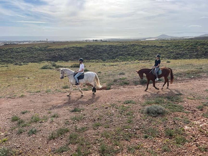 1 hour relaxing horse riding tour in Gran Canaria - Authentic and Well-Reviewed