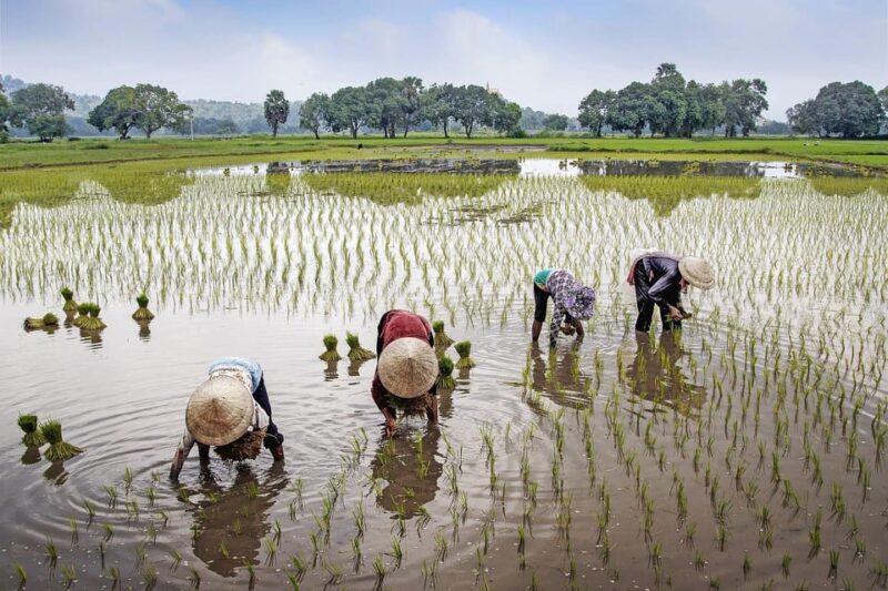 12-Day Vietnam and Cambodia Tour with H Long Bay Cruise - Key Points